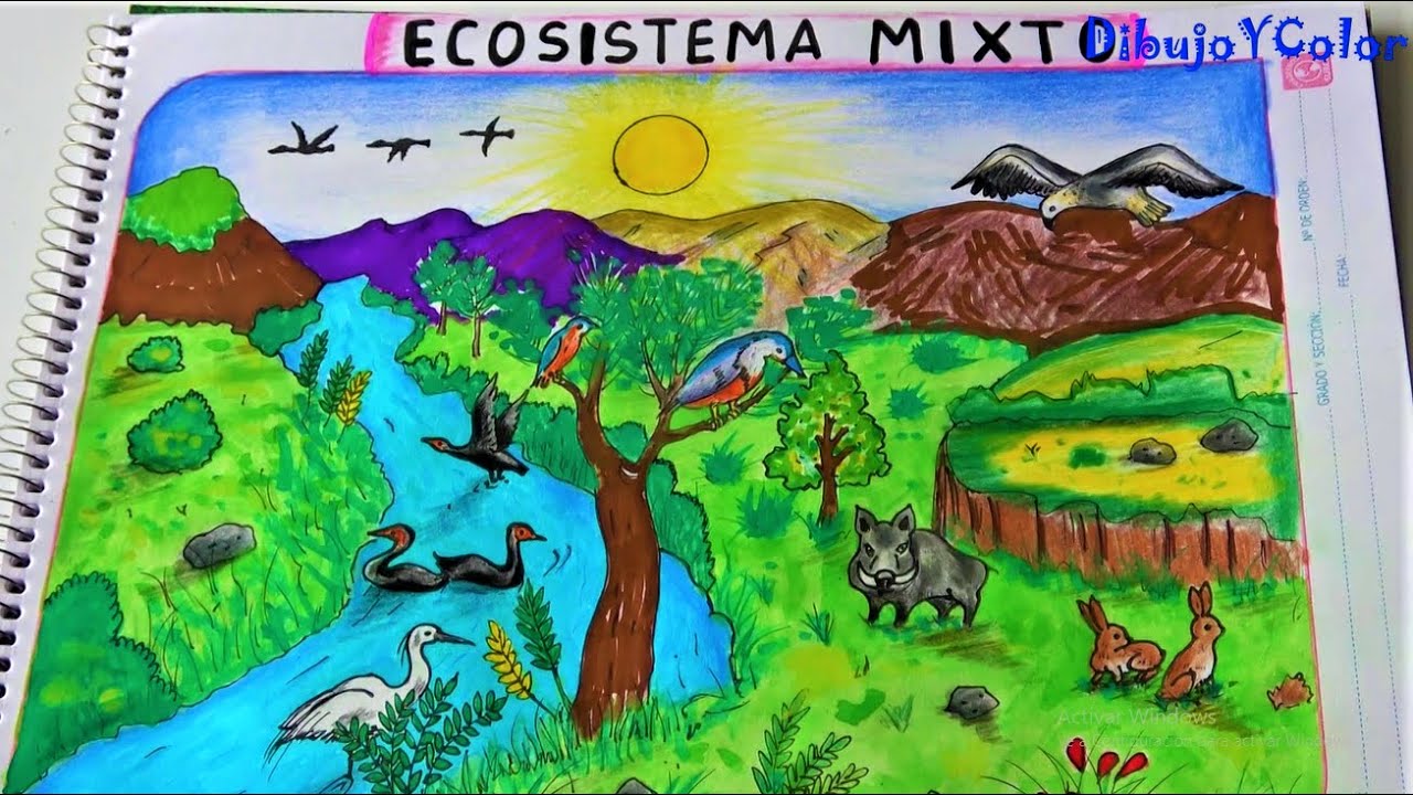 Como dibujar un ECOSISTEMA MIXTO/ ECOLOGIA/ DIBUJOYCOLOR.