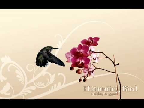 HummingBird