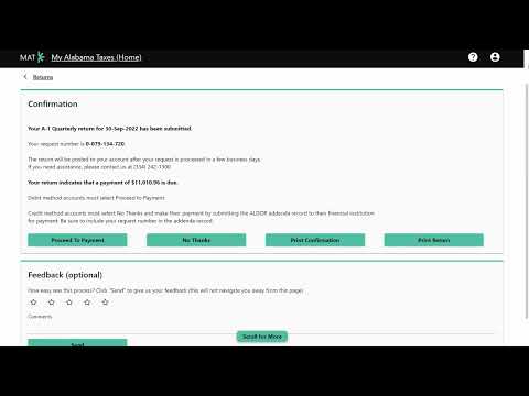 How to file a return on MAT
