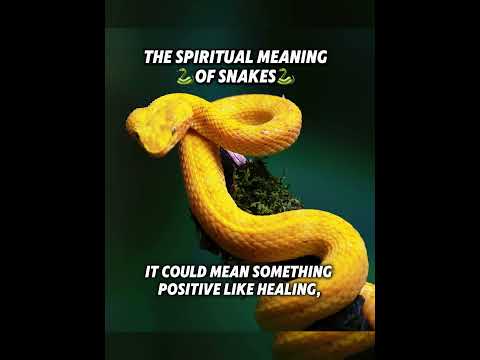 Spiritual Meaning of Snakes #spiritanimal #snakemedicine #snakes #shorts #animalspiritualmeaning