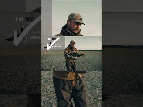What kind of goose is that?! #roadto100 #goosehunting #hunting #waterfowl