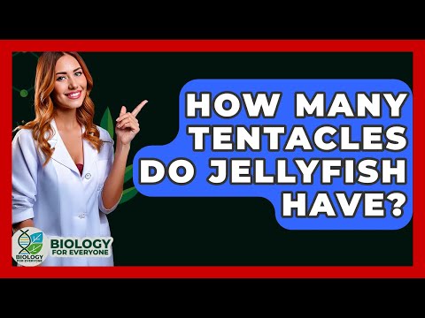 How Many Tentacles Do Jellyfish Have? - Biology For Everyone