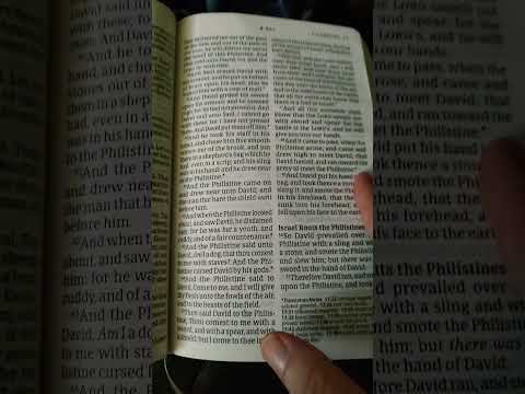 What was the color of King David from the Bible? #ruddy #red #king #kingdavid #houseofdavid
