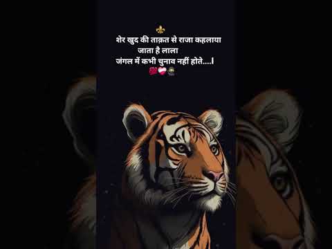attitude shayari #shorts #attitude #youtube #