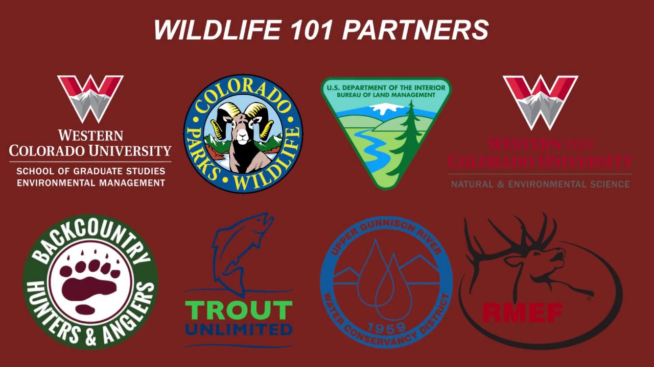 Wildlife 101: Wildlife Habitat Management and Conservation Trends