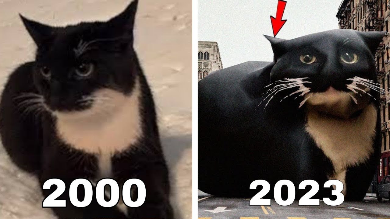 Evolution of Maxwell the cat version 2