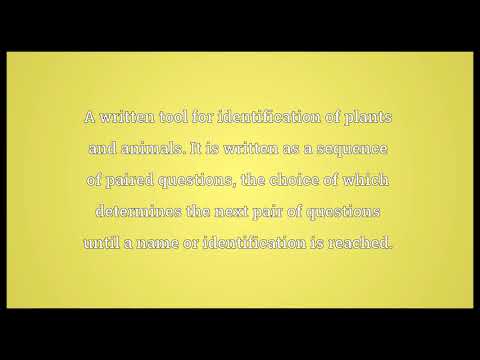 Dichotomous key Meaning | Wordogram
