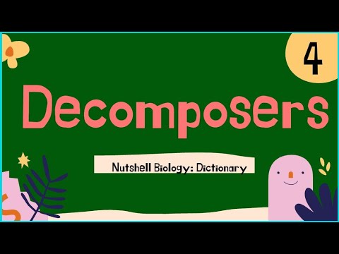 Decomposers #4