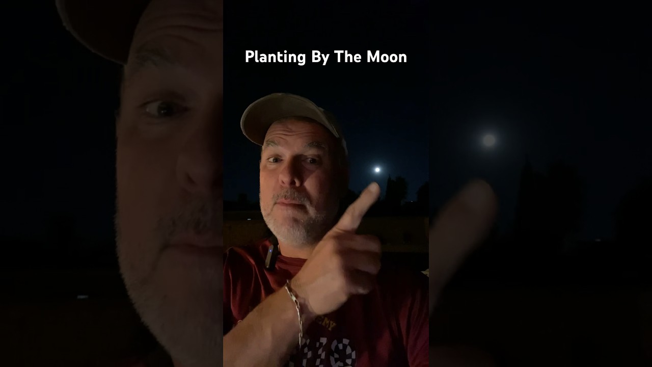 Planting by the moon 🌙 phases can determine success or failure of your crops!