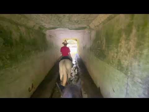 Smokemont Riding Stables (Guided Trail Rides) Cherokee NC