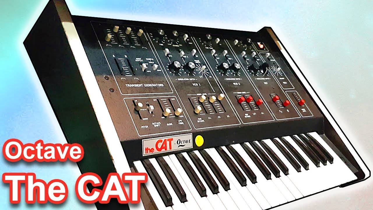 OCTAVE THE CAT Synthesizer - Sounds & Patches | Synth Demo