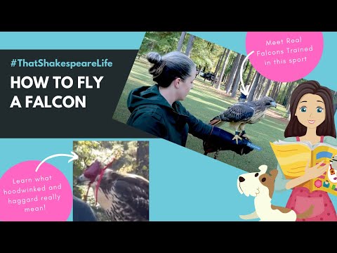 I just tried the sport of Falconry with a Red Tailed Hawk