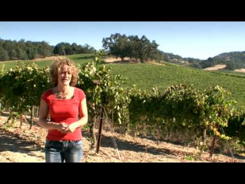 Halter Ranch and SIP Certification