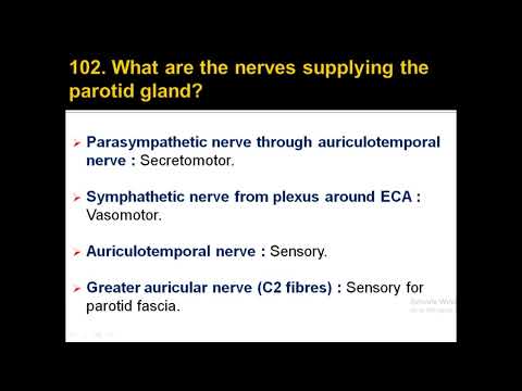 Head and Neck (Salivary, Parotid, Submandibular and Sublingual glands) - - Important Viva-Voce Q & A