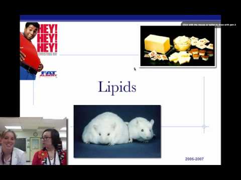 Macromolecules Part1 (Carbs & Lipids).mov