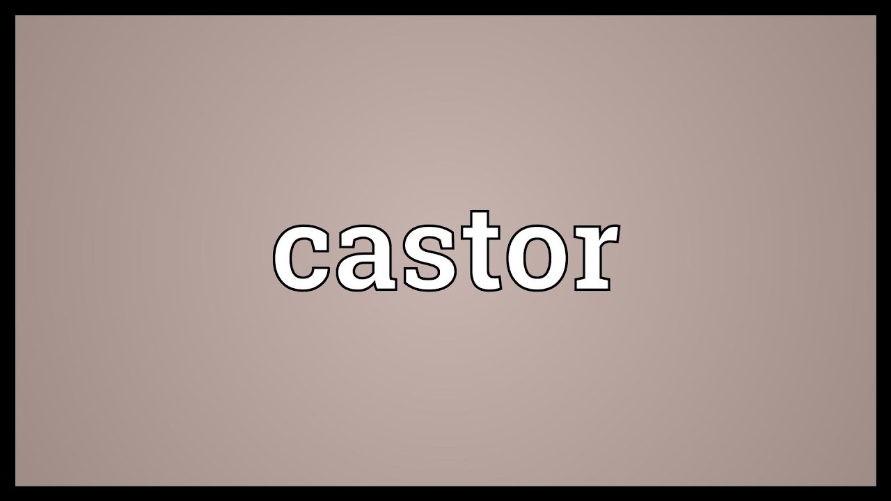 Castor Meaning