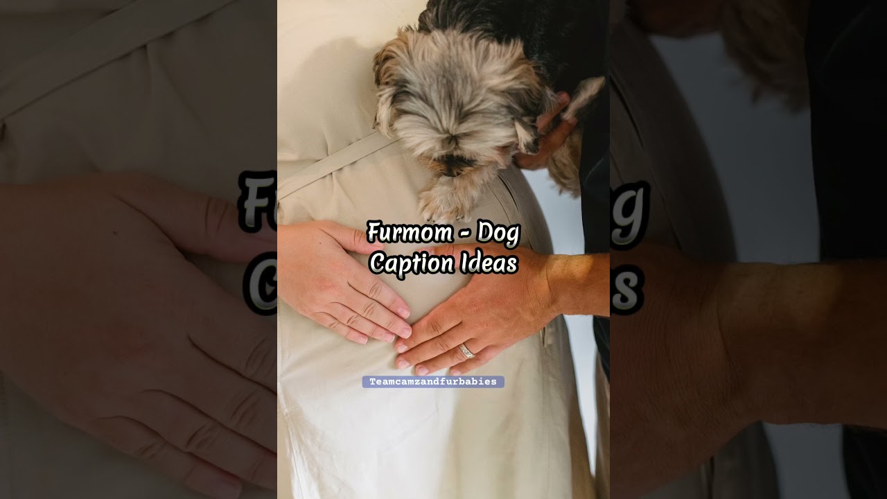 FURMOM TO PET DOG CAPTION IDEAS #captionideas  #captions  #dogcaptions #teamcamzandfurbabies