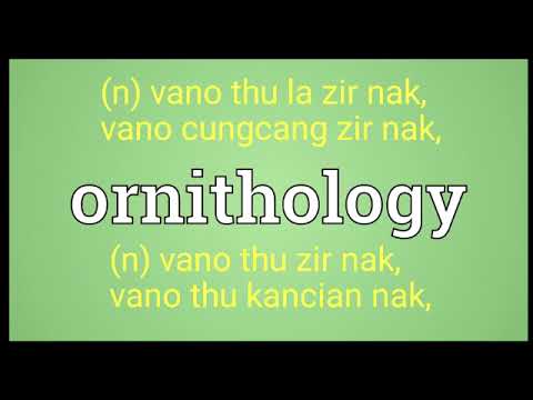 ornithology meaning in English Ngawn