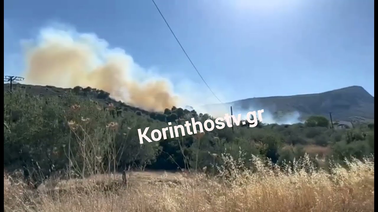 Πυρκαγιά σε δασική έκταση στο Μαψό Κορινθίας | eReportaz
