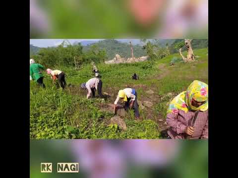 Dignity of labour