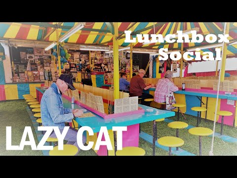 LAZY CAT - Leo Troy and Lunchbox Social - (Official Music Video)