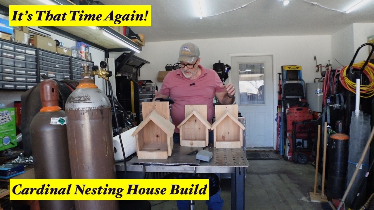 Cardinal Nesting House