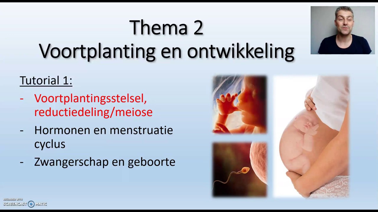 Meiose - Biodam thema 2 voortplanting -deel 1-3