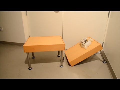 And now, the hopping robot – Harvard Gazette