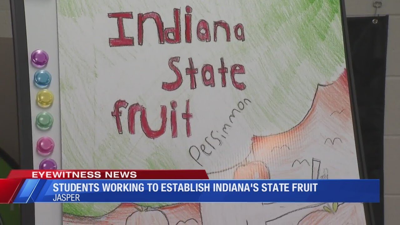 Jasper Elementary students taking classroom project to the Statehouse