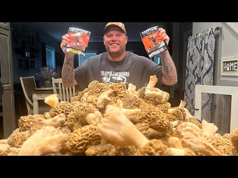 We hit the mother load! Morel mushrooms 2024