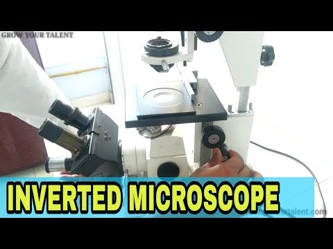 Microscope - Mechanic Microscope Latest Price, Manufacturers & Suppliers