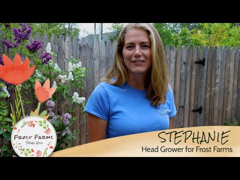 Lilacs with Stephanie