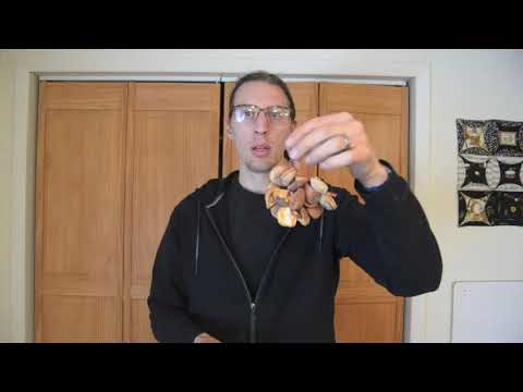 Terre Seed Shaker XXL Cha Cha Nut iMuso