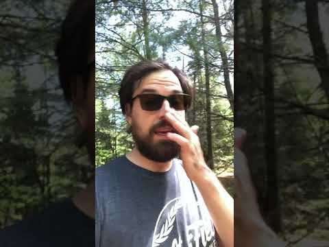 Coniferous and Deciduous Trees!