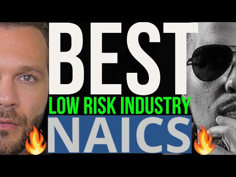 BEST BUSINESS for MASSIVE BUSINESS FUNDING 💰 | LOW RISK NAICS CODES 💎
