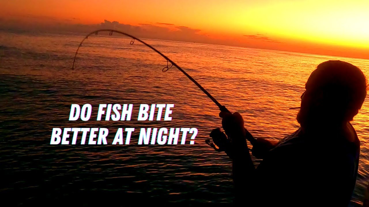 Night fishing 60km offshore!  Big Sea mangrove Jack, long nose emperor & more!