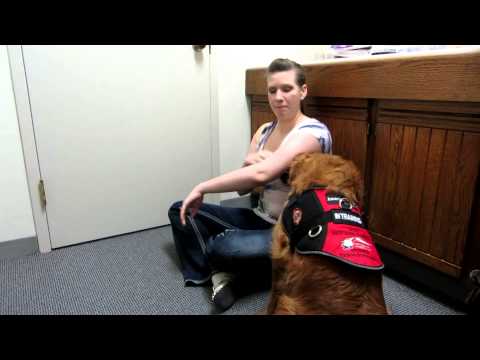 Wartburg students work with service dogs