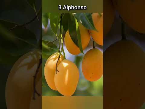 Different types of mangoes 🥭
