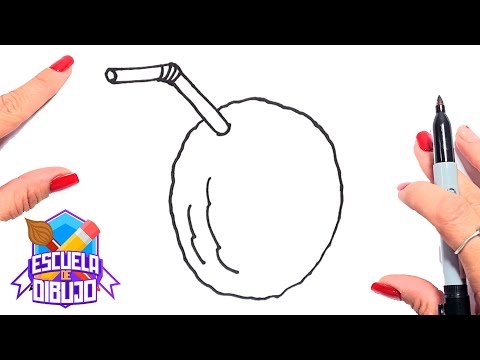 ¿Cómo Dibujar un Coco – Dibujo de un Coco – Daisy Lucas