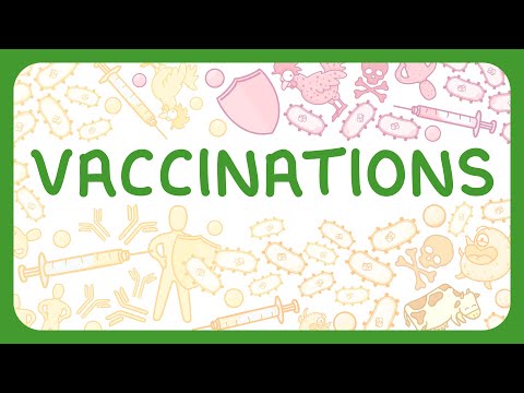 GCSE Biology - Vaccinations | How Vaccines Work