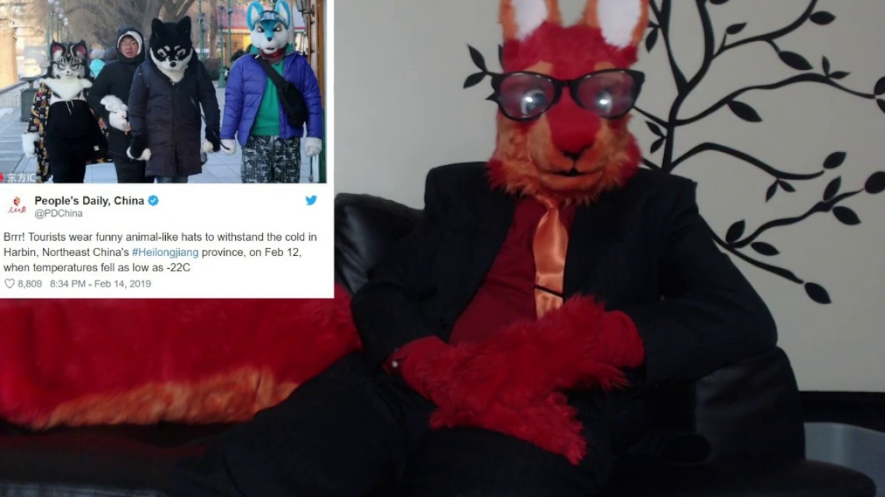 Chinese Press discovers Furs