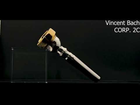 VINCENT BACH CORP. 2C trumpet mouthpiece, 24K gold plated | Reverb UK