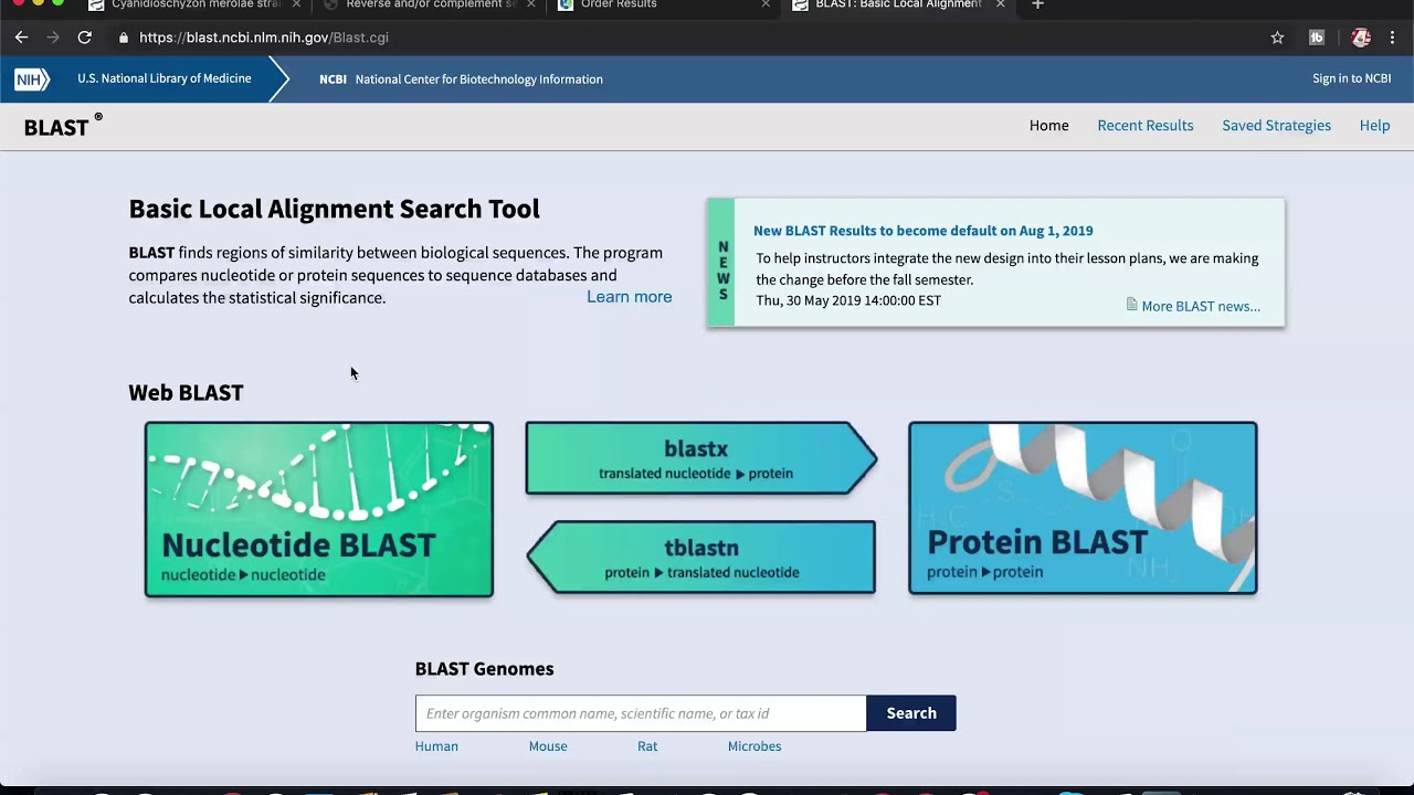 Analyzing Gene Sequence Results with BLAST