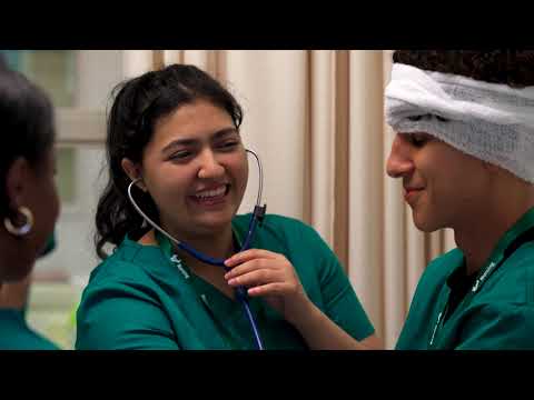 Pepin Family USF Nursing Pathway Summer Program | USF Health
