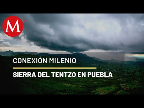 Devastación en la "Sierra del Tentzo" en Puebla | Conexión Milenio
