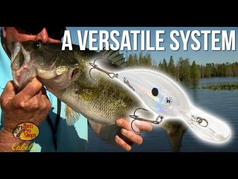 A Versatile System