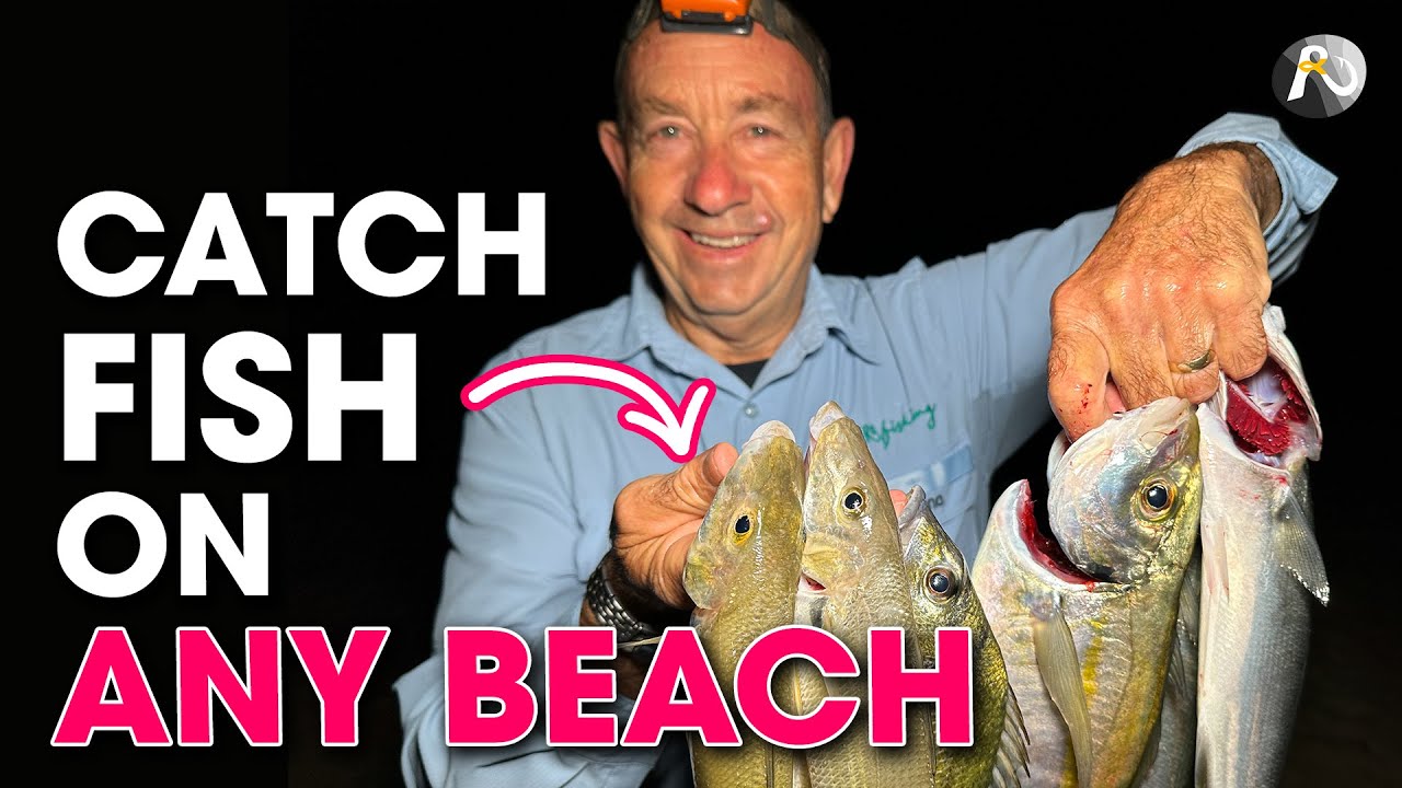 Mastering Beach Fishing: The Best Spots to Catch Fish | Galaxy.ai