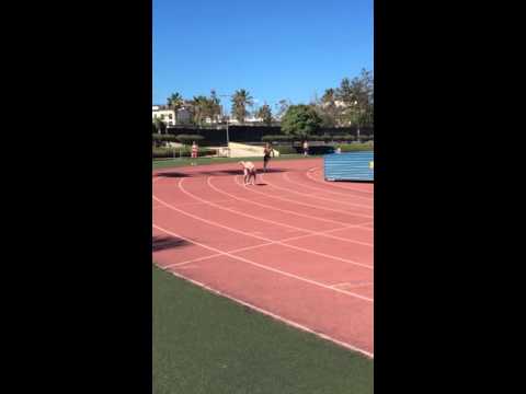 Scotland 4x100m Member Baton Exchange