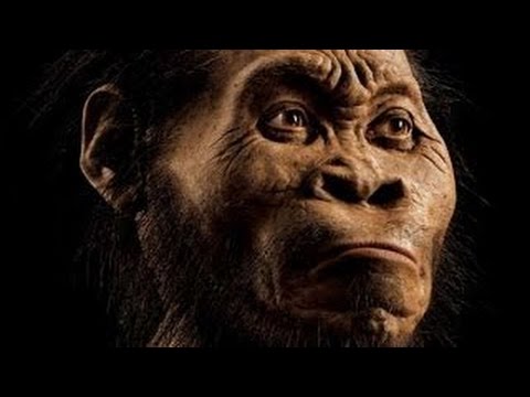 NOVA Science Documentary - Dawn of Humanity