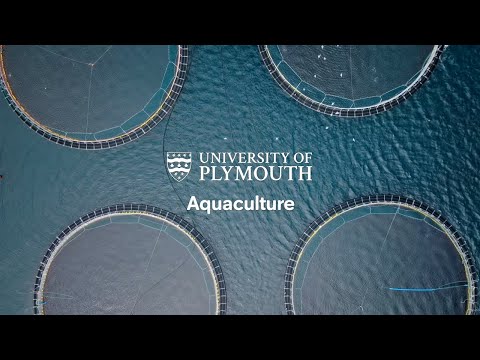 What is aquaculture?